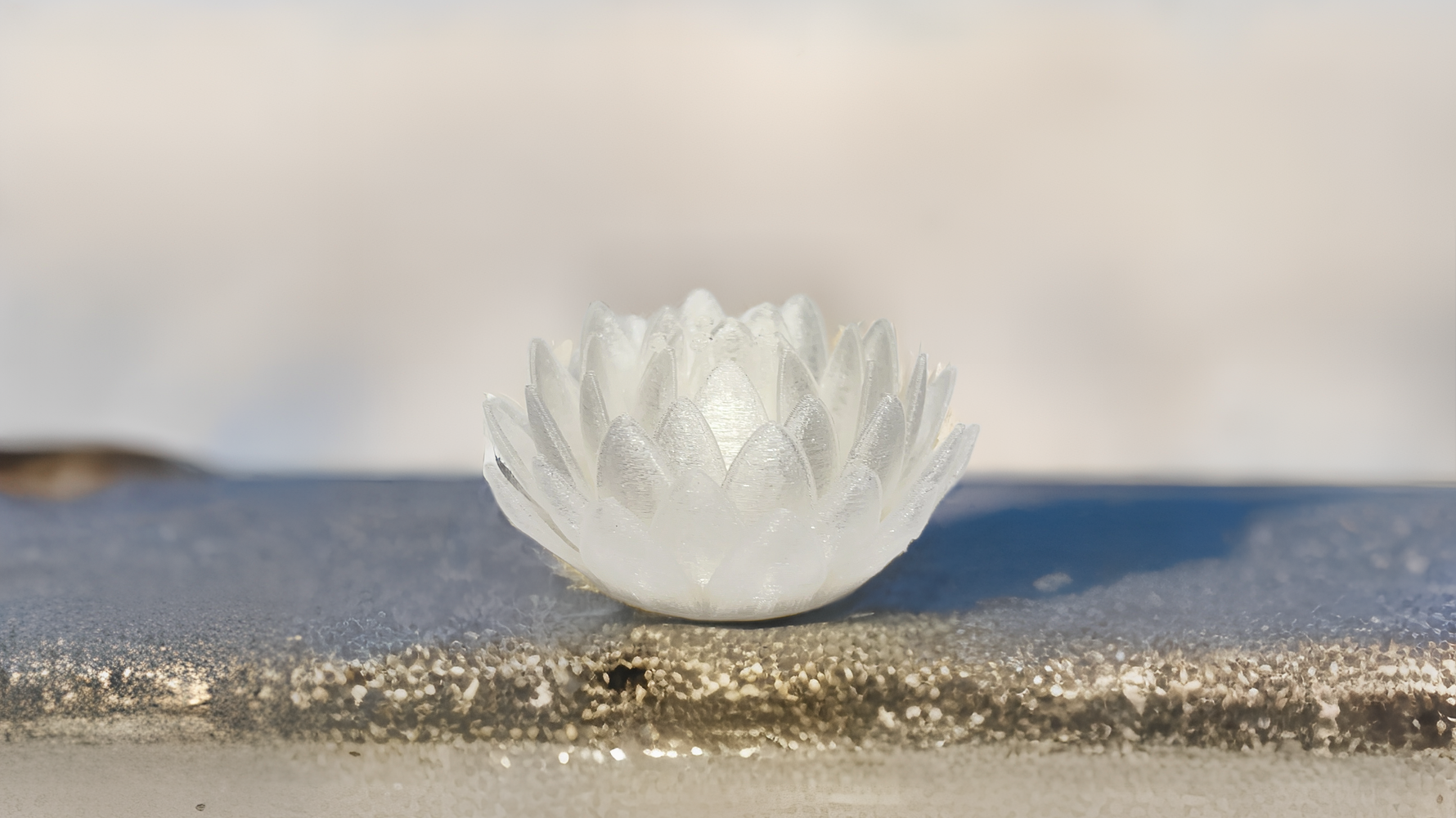 SMP4D | Unleash Your Creativity with Bambu Lab 4D